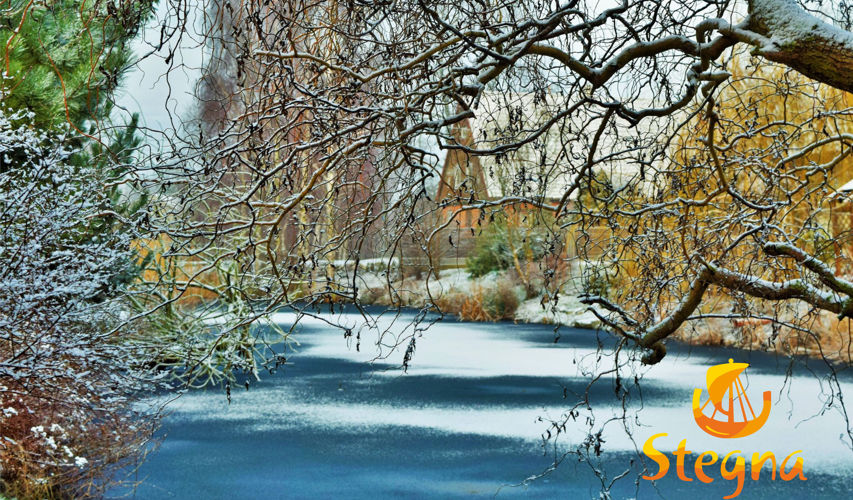 Strona główna | Urząd Gminy w Stegnie